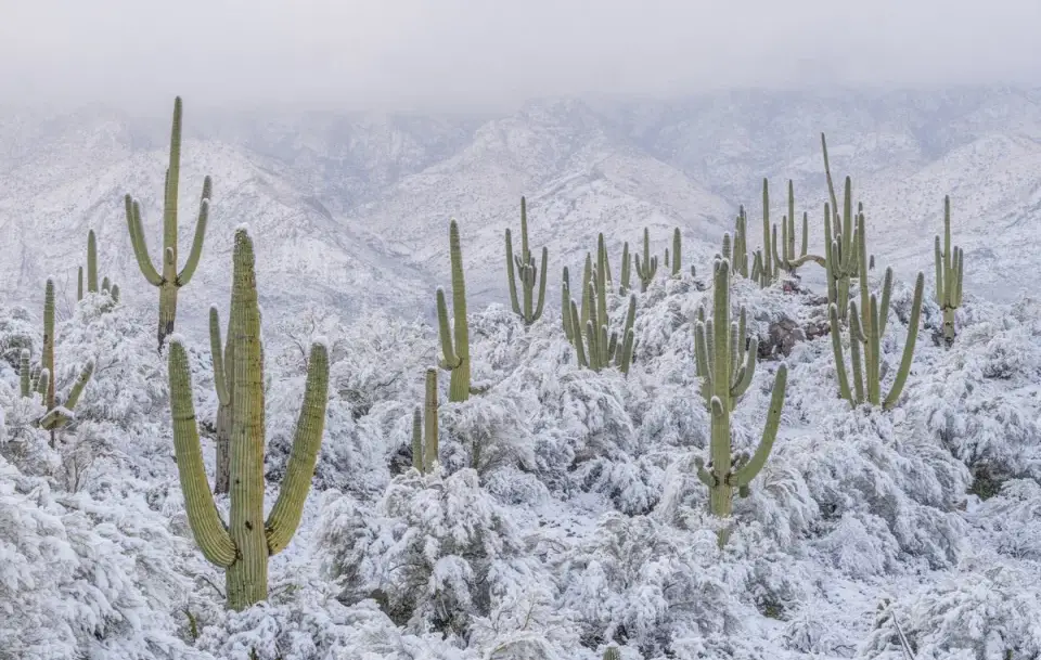 Denver's Coldest Start Since 1979; Summer Skiiing; + Snow Hits N ...