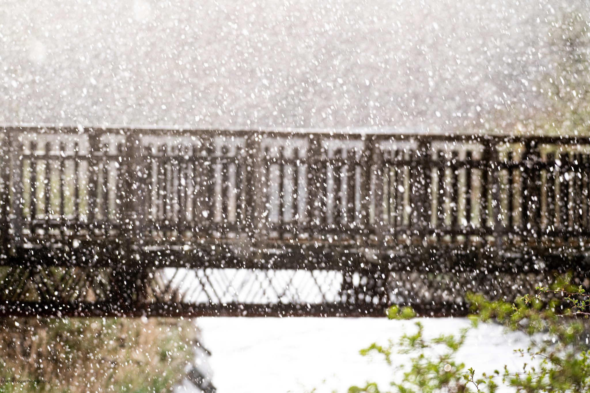 UK "Returns To Winter"; Alta 900 Inches - Electroverse